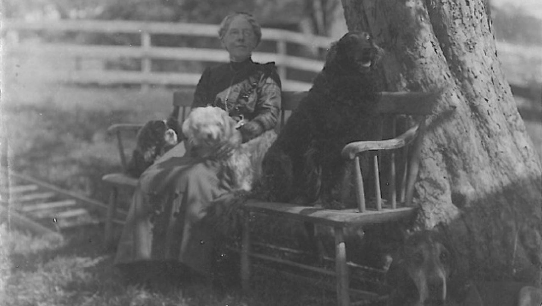 Anna Harris Smith (1843 – 1929) - Boston Women's Heritage Trail